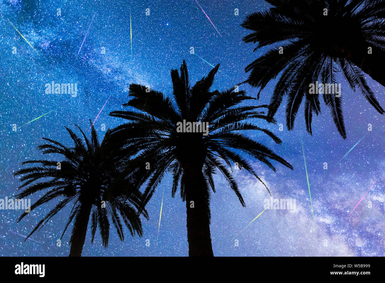 A view of a Meteor Shower and the Milky Way with three palm trees ...