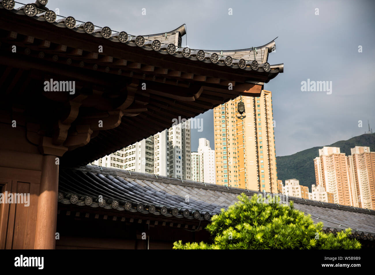Chi Lin Nunnery in Hong Kong Stock Photo - Alamy