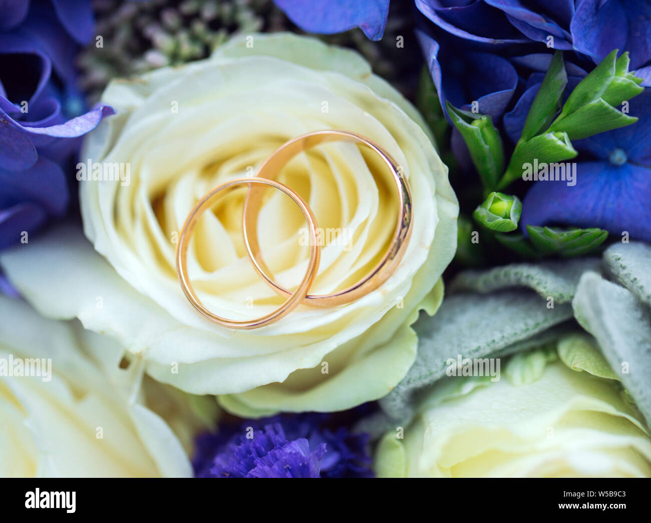 Wedding rings as a symbol of love and loyalty close up Stock Photo - Alamy