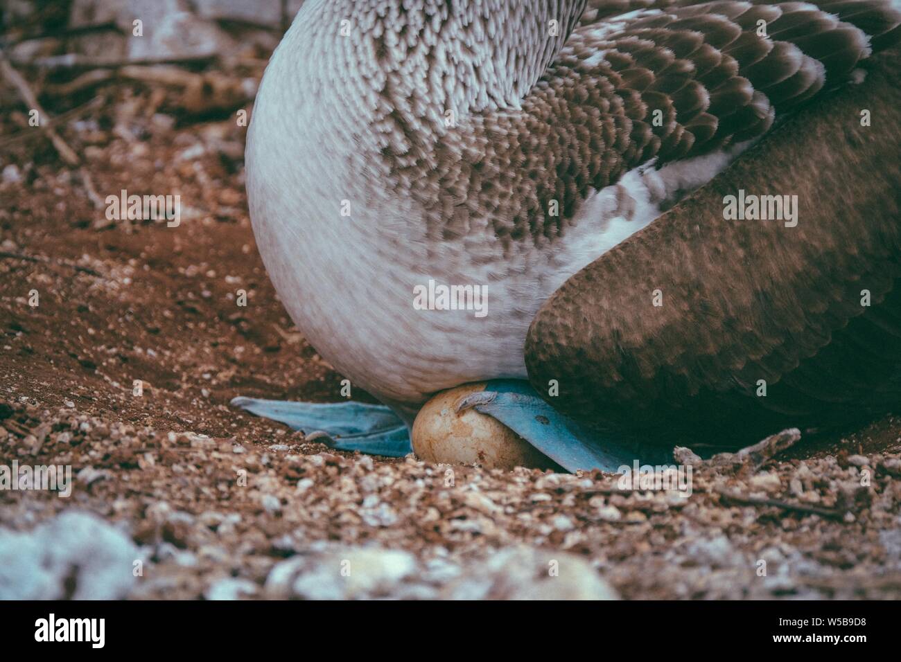 Agg symbol hi-res stock photography and images - Alamy