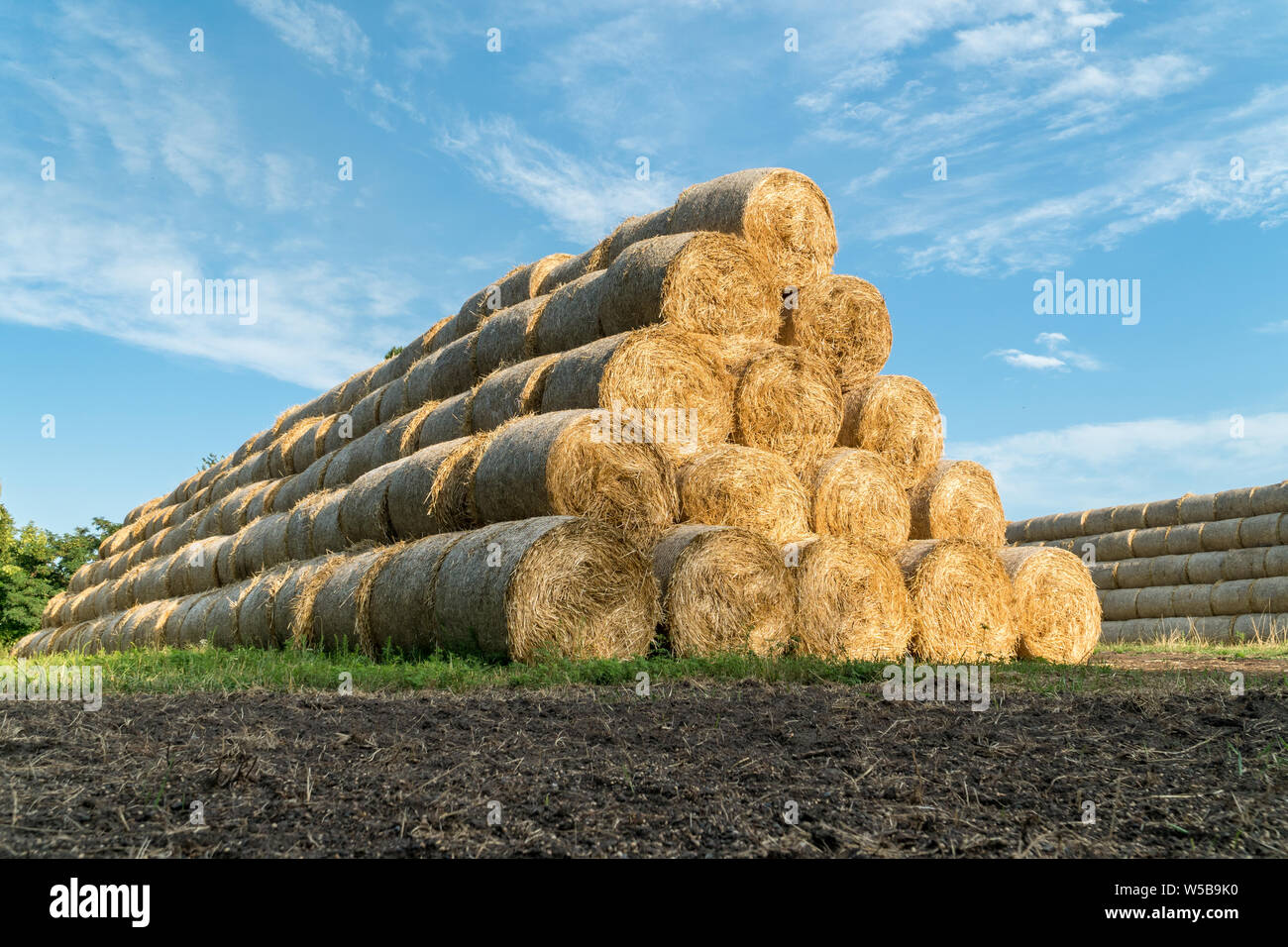 Pyramid of hay barrels stacked in a field near animal farm. Agriculture ...
