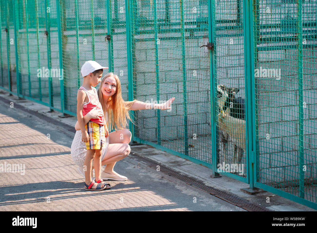A young family is looking for a pet in a dog shelter Stock Photo - Alamy