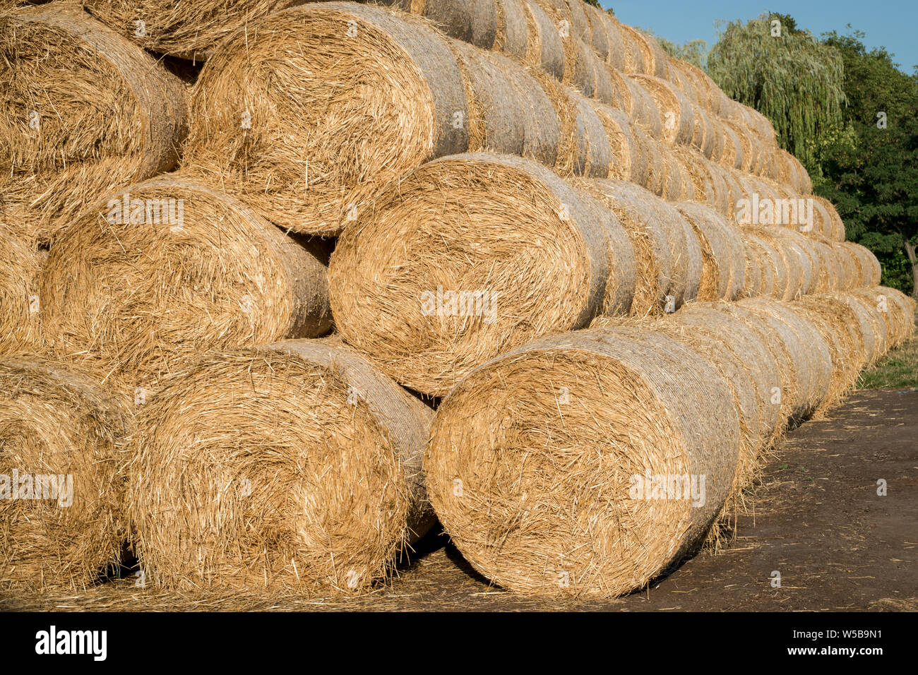 Stacked barrels pyramid hi-res stock photography and images - Alamy