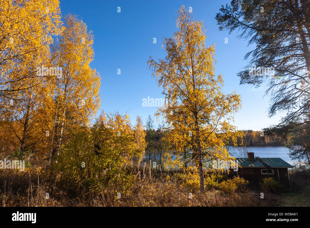 Finnish hut hi-res stock photography and images - Alamy