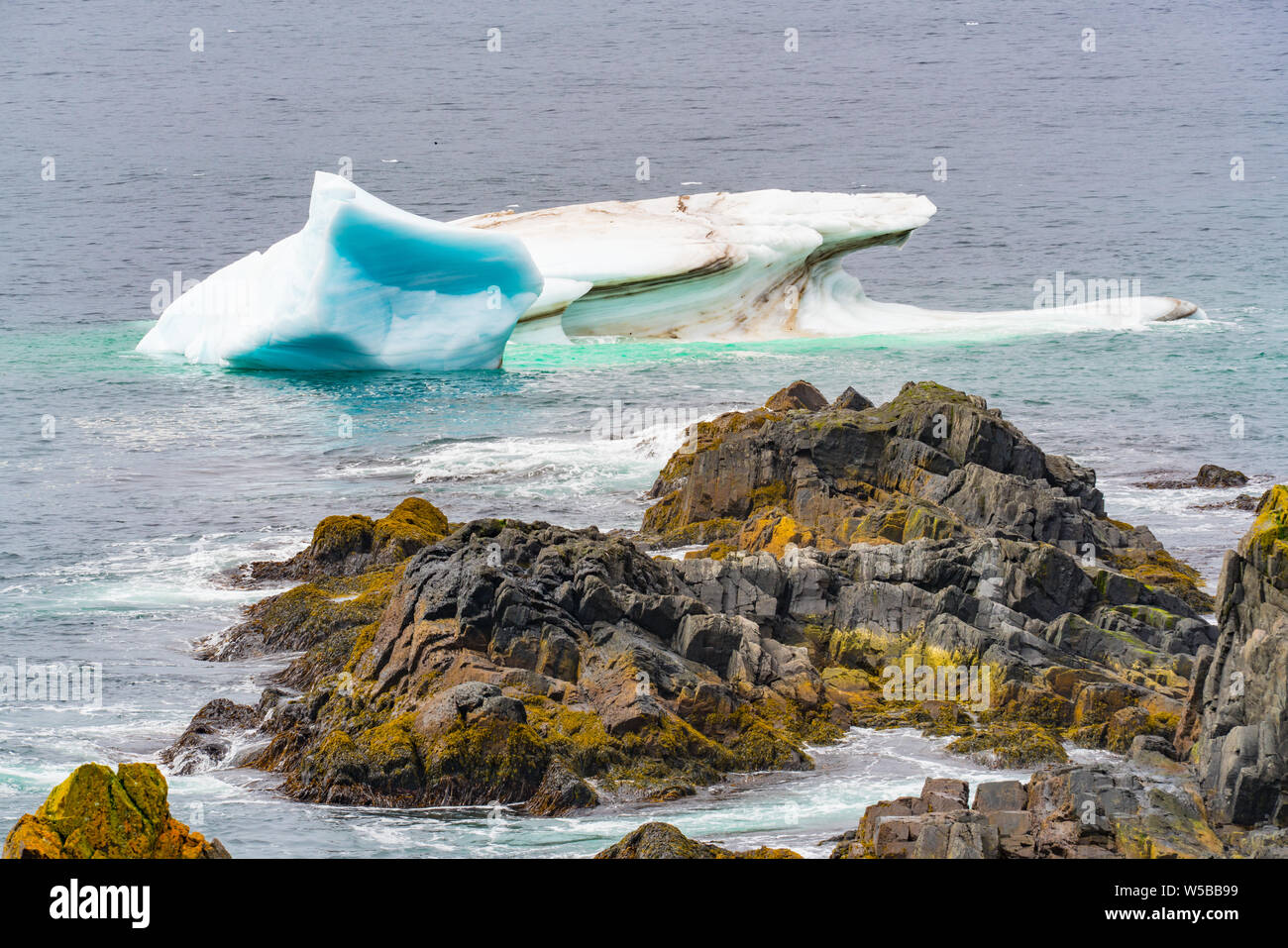 Iceberg floating in the ocean off the coast of Newfoundland, Canada ...