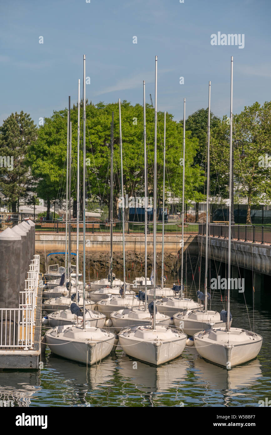 Multiple sail boats hi-res stock photography and images - Alamy