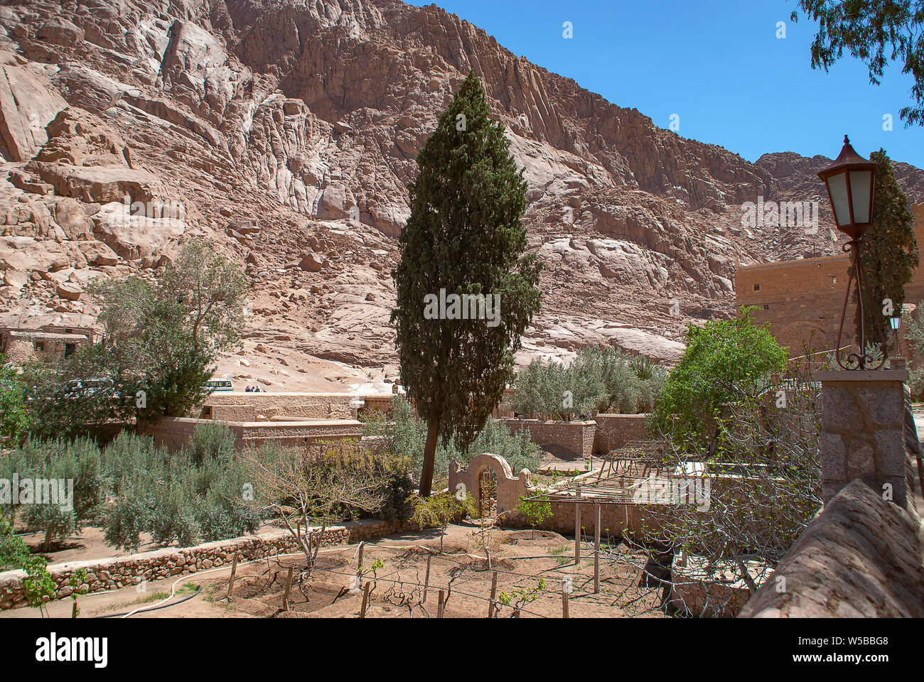 St Catherine's Monastery near Mount Sinai in Egypt Stock Photo - Alamy