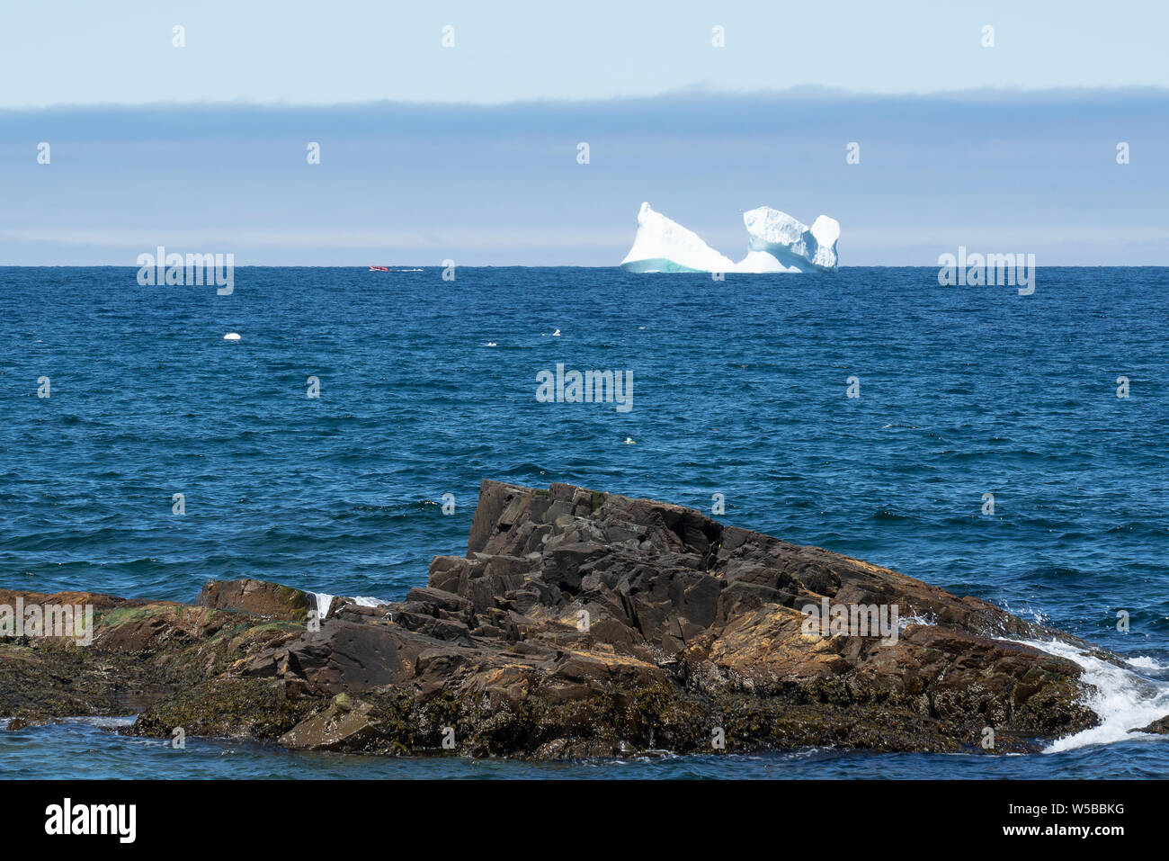 Iceberg floating in the ocean off the coast of Newfoundland, Canada ...