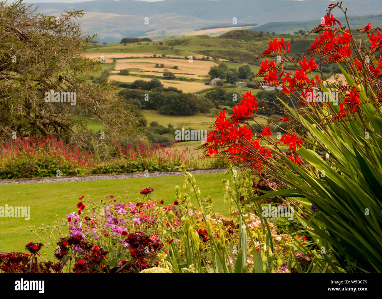Welsh valley hi-res stock photography and images - Alamy