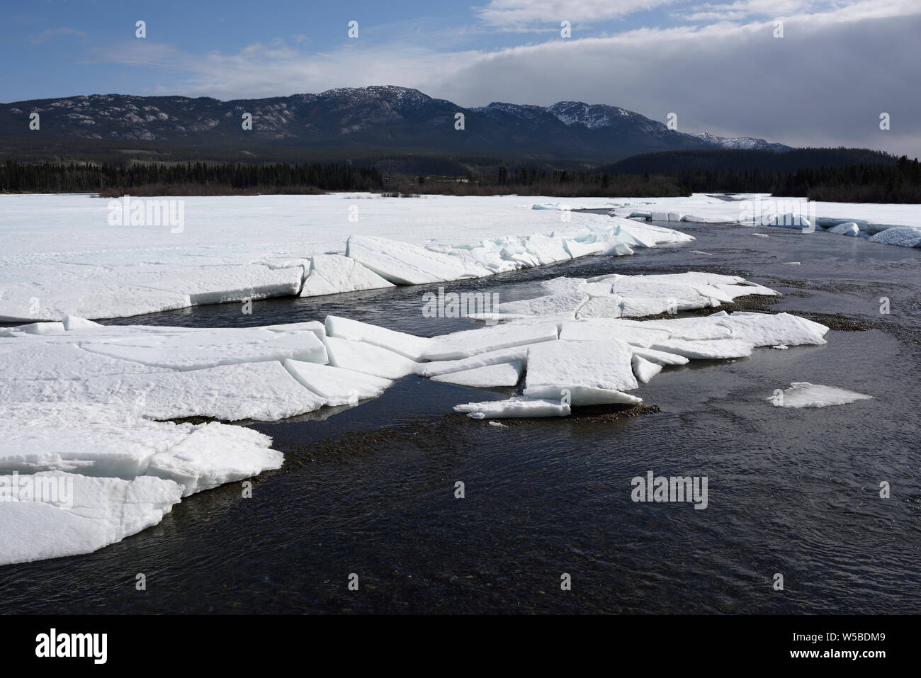 Melting ice in the Yukon River, Whitehorse, Yukon, Canada Stock Photo ...