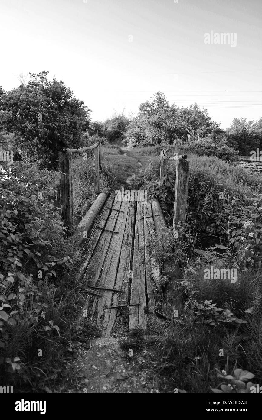 Old wooden swamp bridge hi-res stock photography and images - Alamy