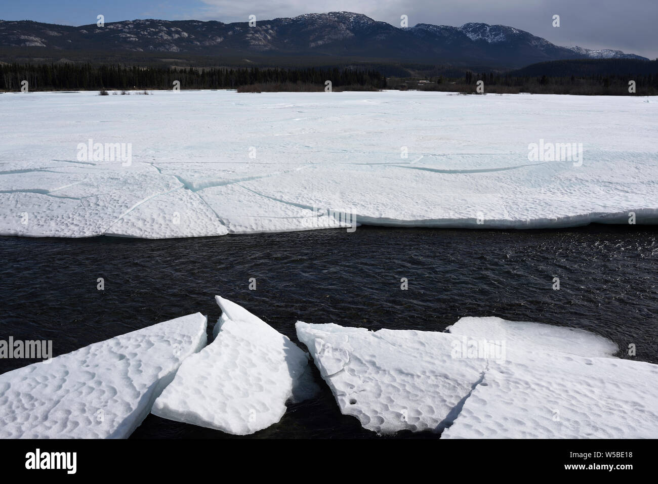 Melting ice in the Yukon River, Whitehorse, Yukon, Canada Stock Photo ...
