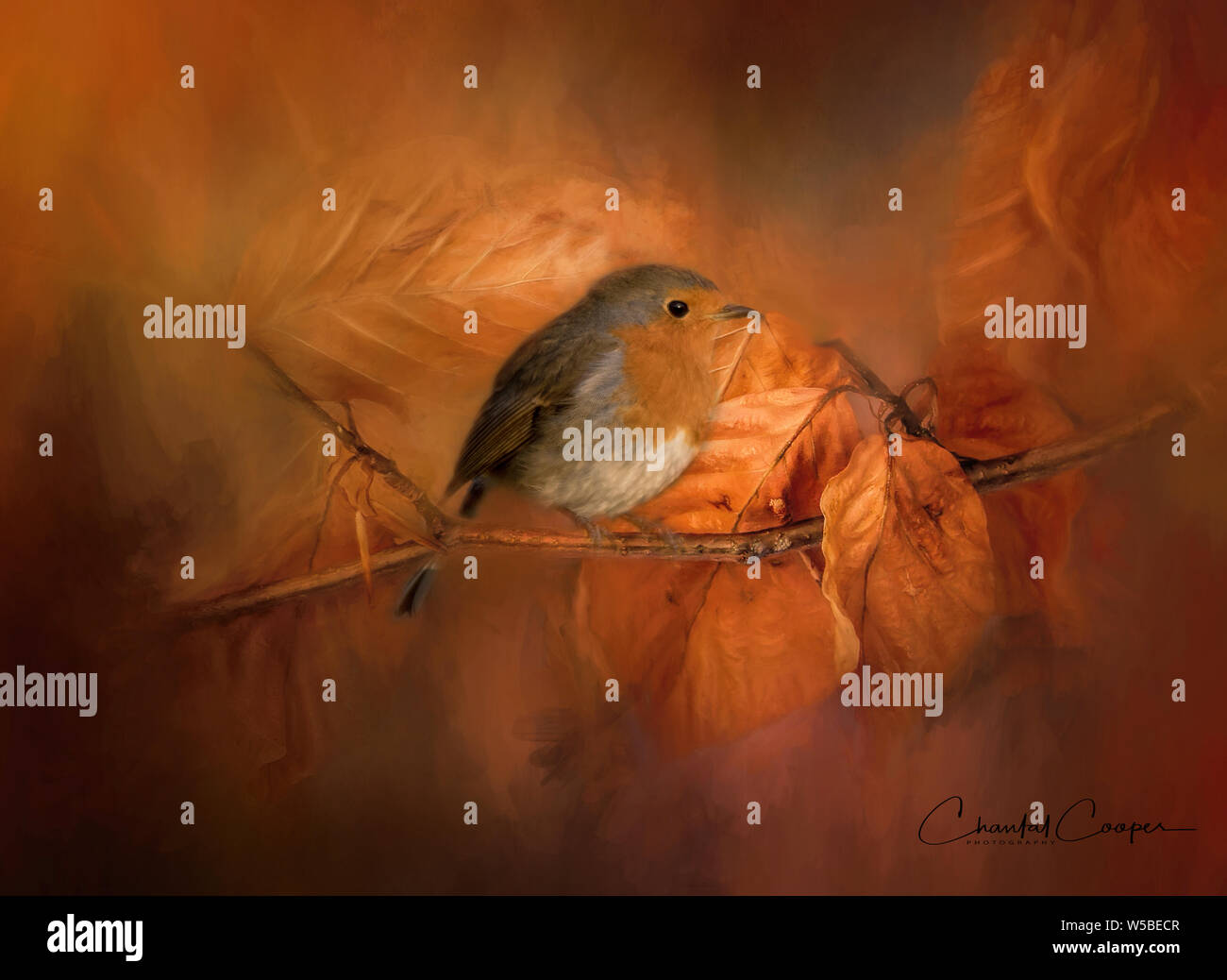 Editing background hi-res stock photography and images - Alamy