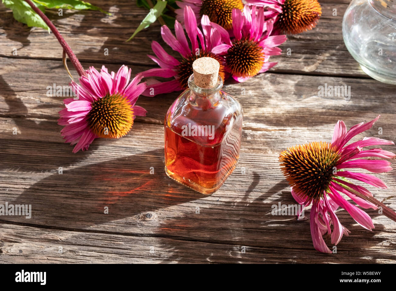 A bottle of herbal tincture with fresh blooming echinacea plant Stock ...