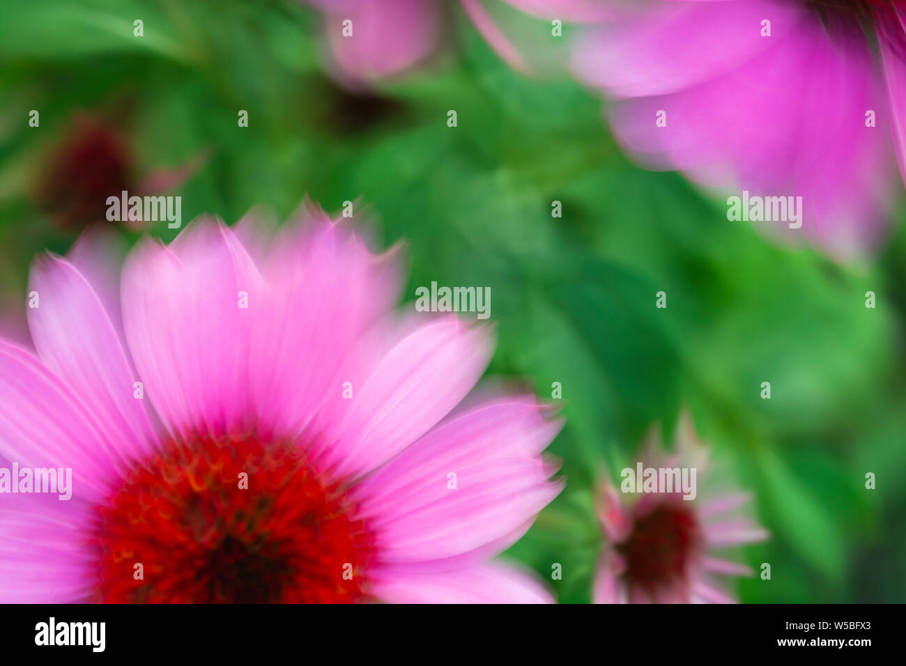 Airy Texture High Resolution Stock Photography and Images - Alamy