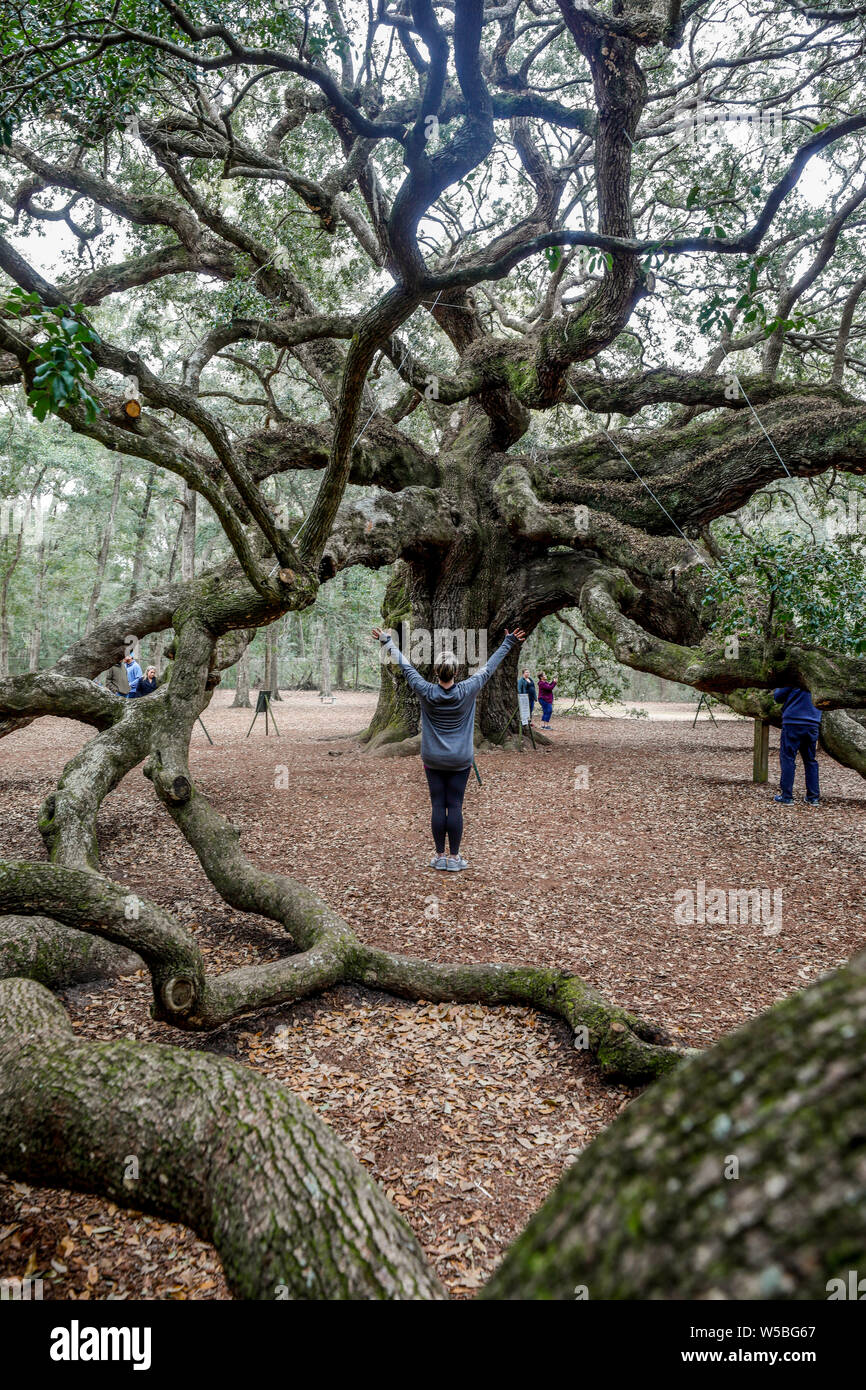 People visit the Angel Oak tree on Angel Oak Park on Johns Island near ...