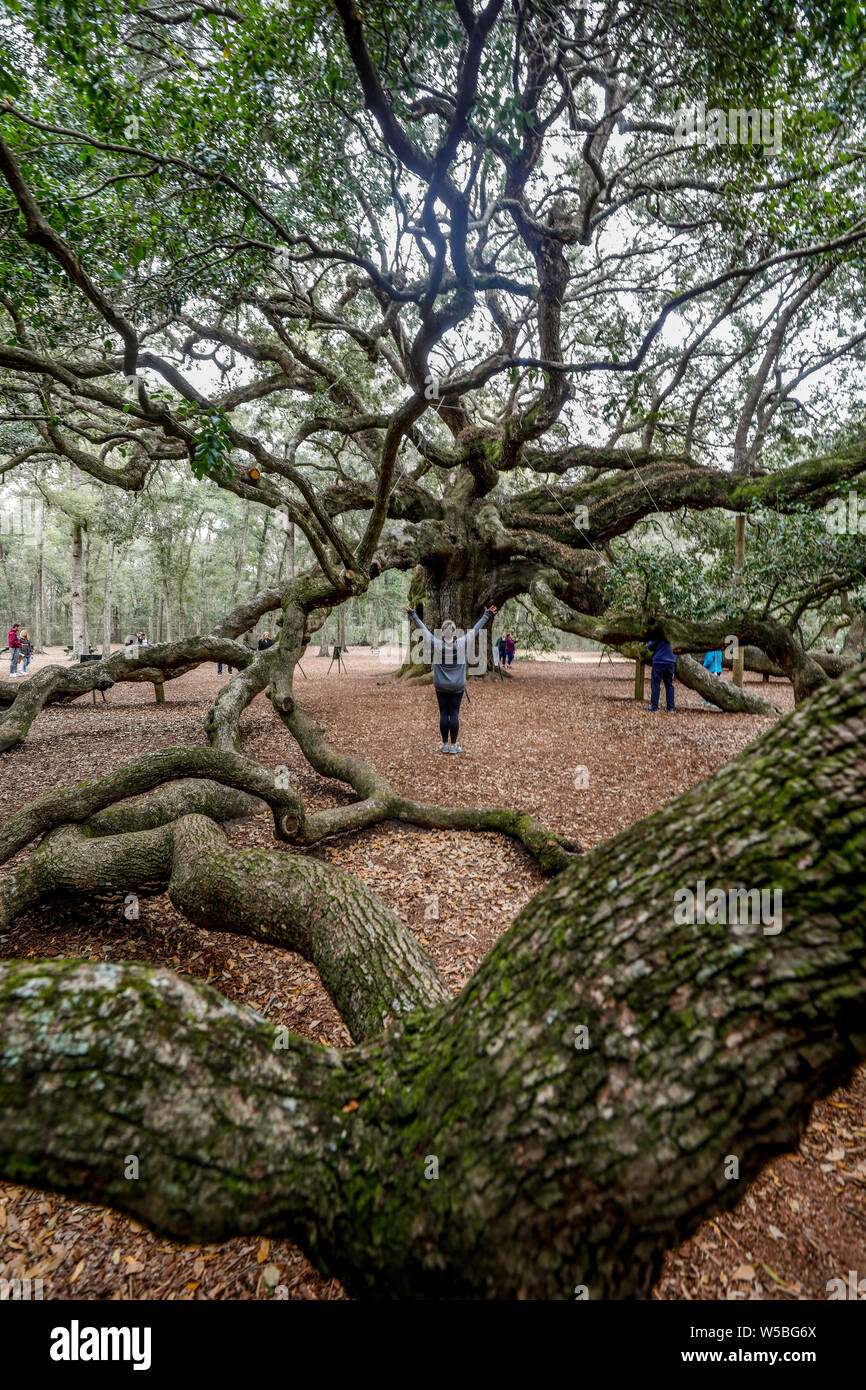People visit the Angel Oak tree on Angel Oak Park on Johns Island near ...