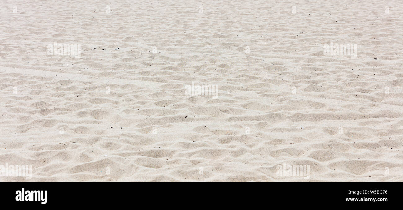 Sand texture. Sandy beach empty, full background. Sunny spring day ...