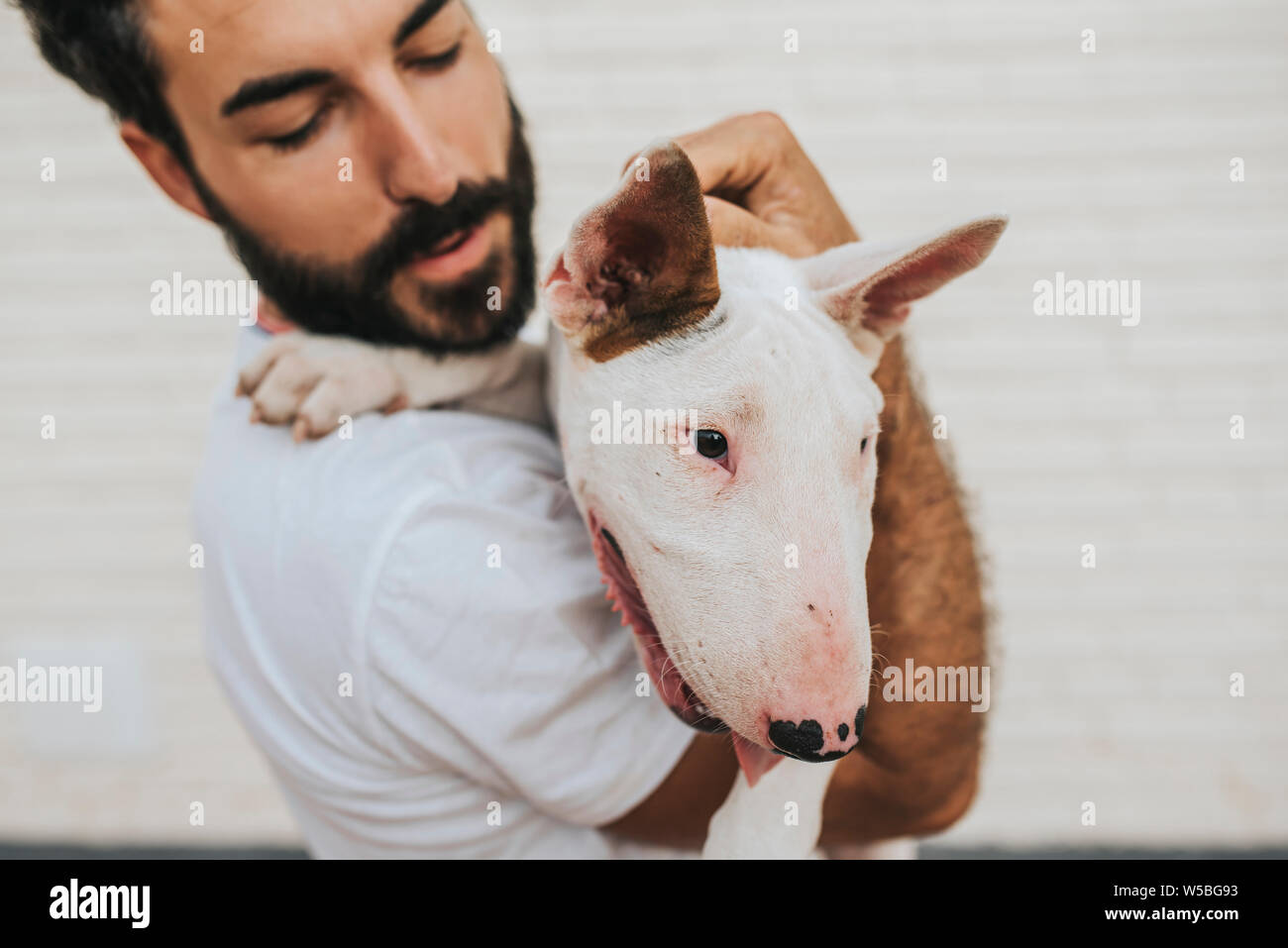 Bearded man hugging a white bull terrier dog Stock Photo - Alamy