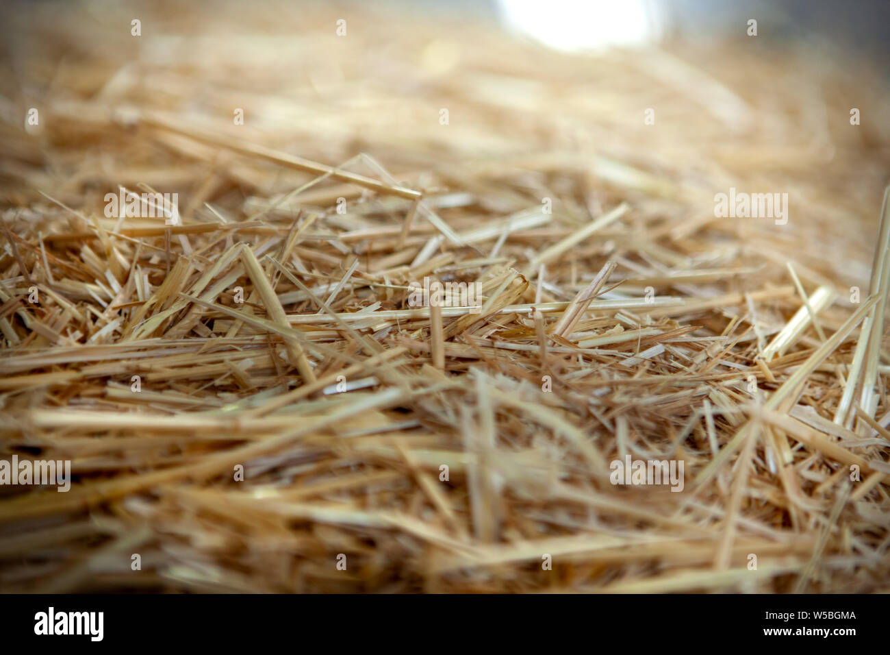 hay bale in horse stable Stock Photo - Alamy