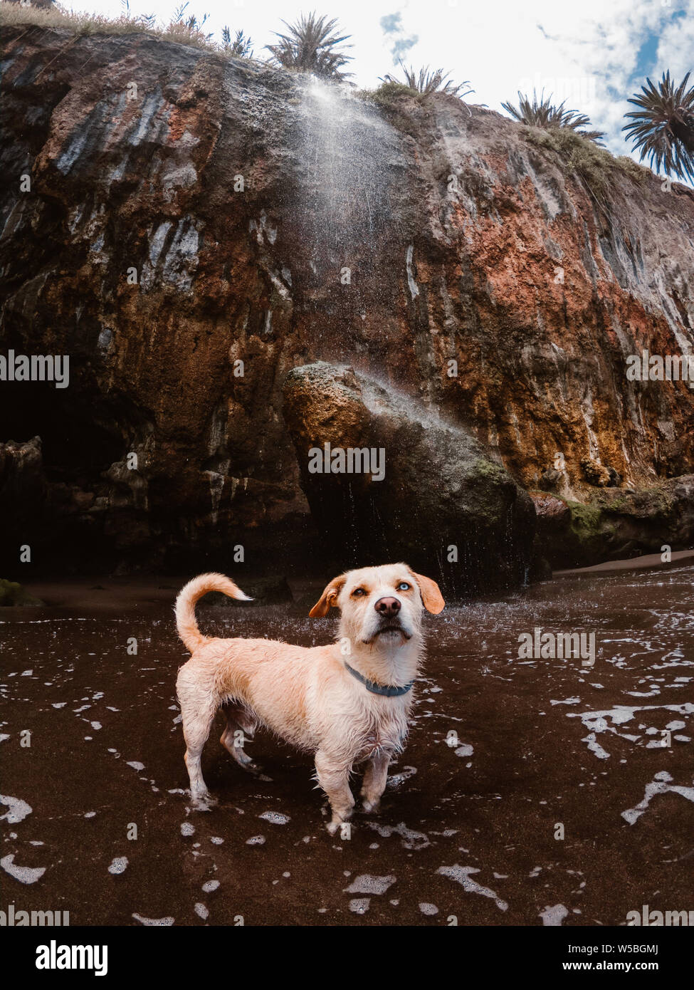 Standing under waterfall hi-res stock photography and images - Alamy
