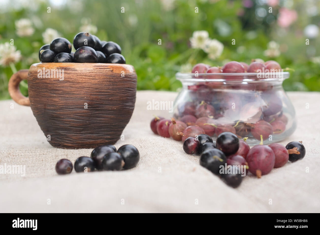 Black gooseberries hi-res stock photography and images - Alamy