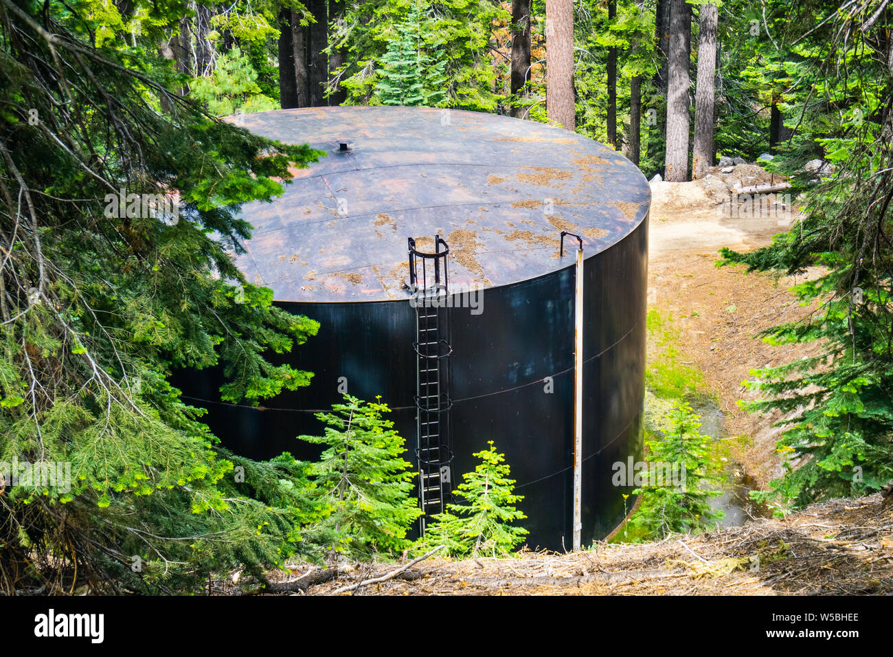 Large, round water tank located in an evergreen forest close to Glacier ...