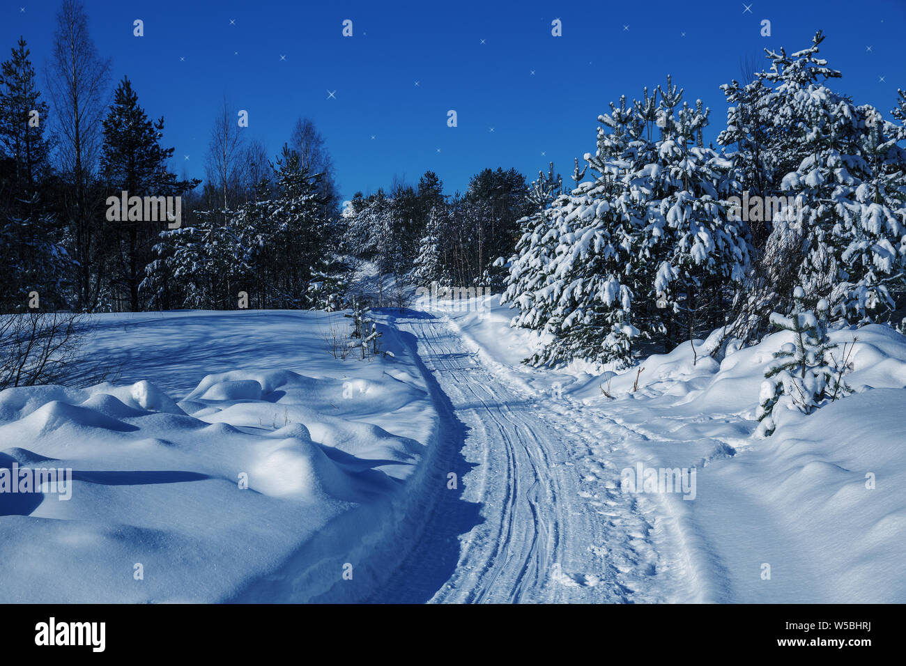 Winter forest landscape, night. The road in the forest under the starry ...