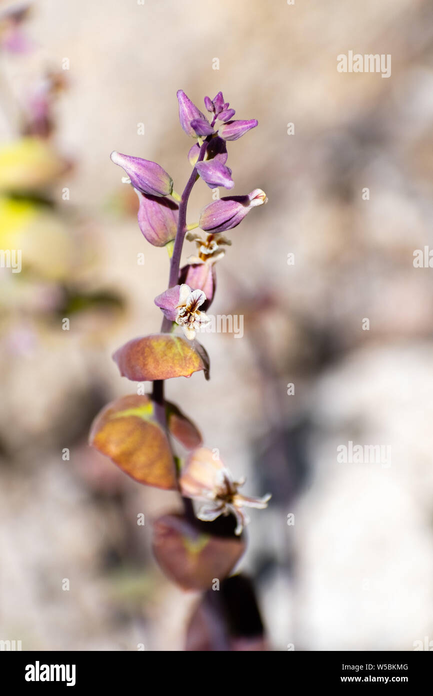 High elevation hi-res stock photography and images - Alamy