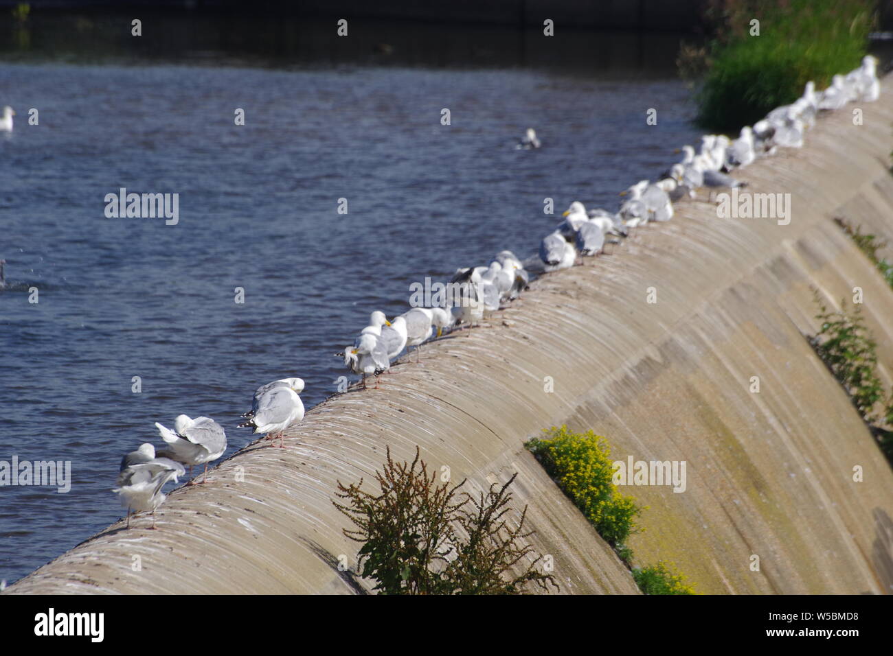 Flood Alleviation High Resolution Stock Photography and Images - Alamy