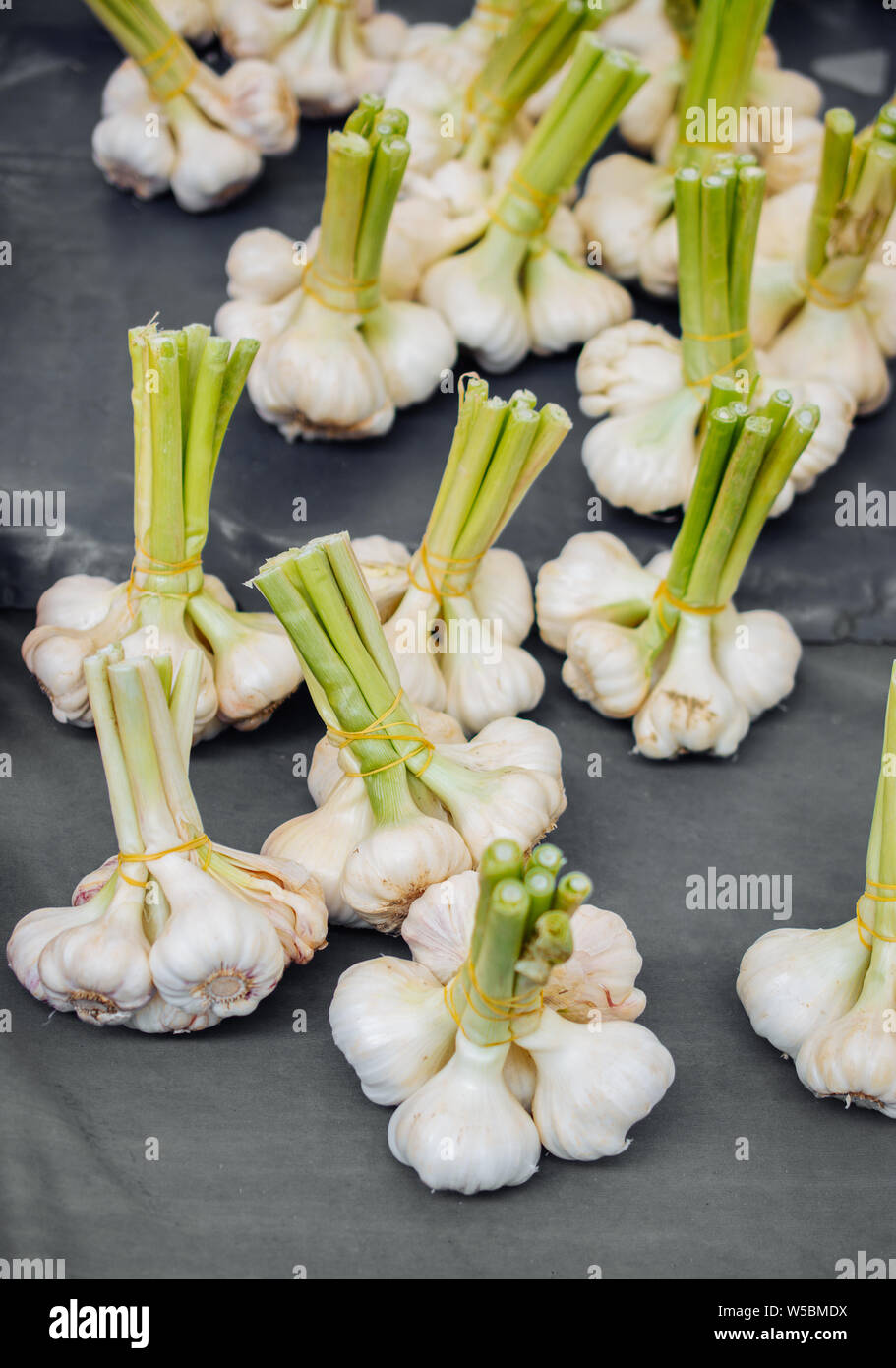 Bunch of garlic bulbs at the market place Stock Photo - Alamy