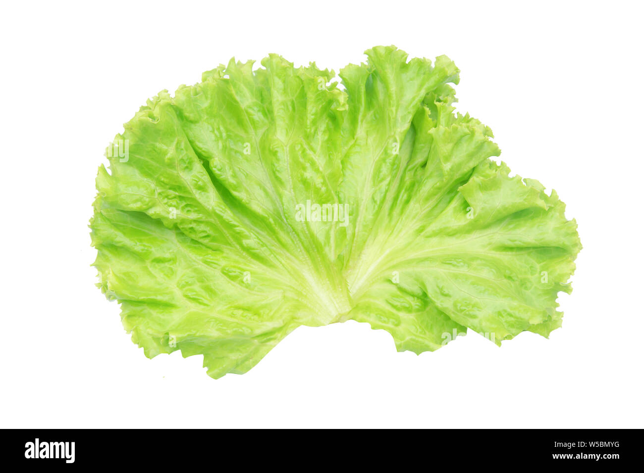 Salad leaf. Lettuce isolated on white background with clipping path ...