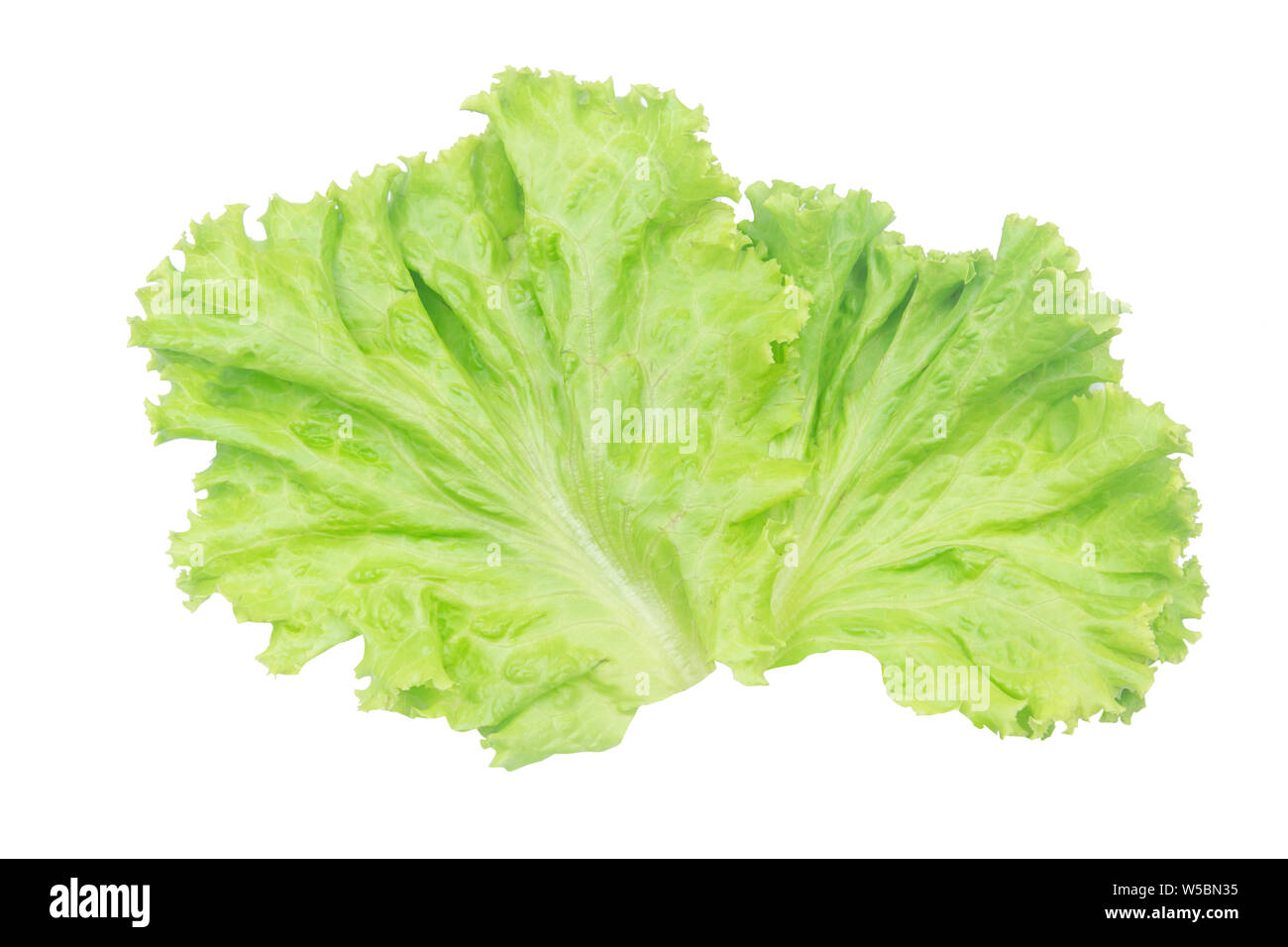 Salad leaf. Lettuce isolated on white background with clipping path ...