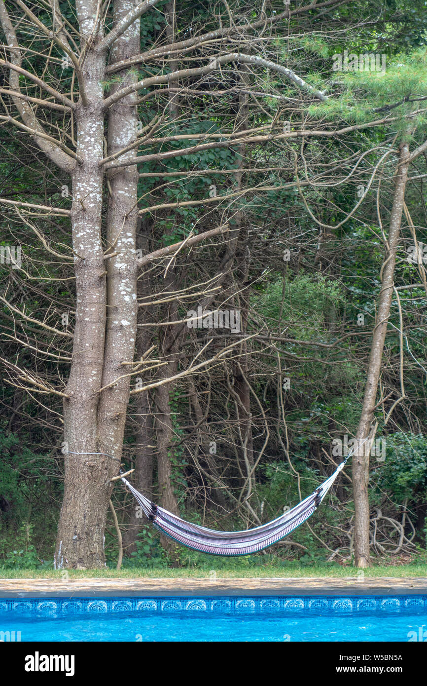 Trees shade backyard hi-res stock photography and images - Alamy