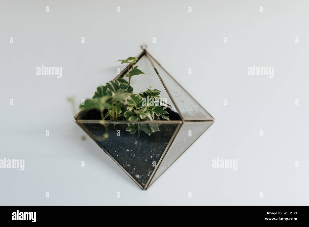 Diamond shaped flower pattern hi-res stock photography and images - Alamy