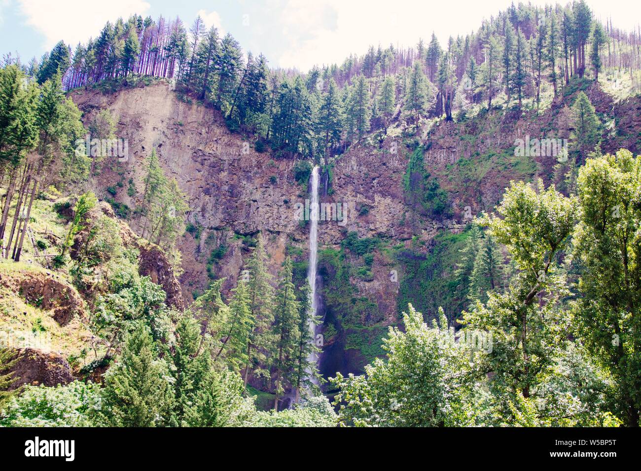 Beautiful wide shot of a thin tall waterfall on high cliffs in a forest ...