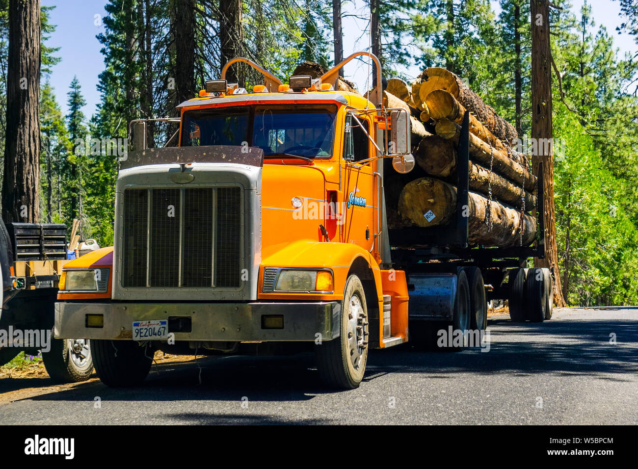 Lorry transporting logs hi-res stock photography and images - Alamy