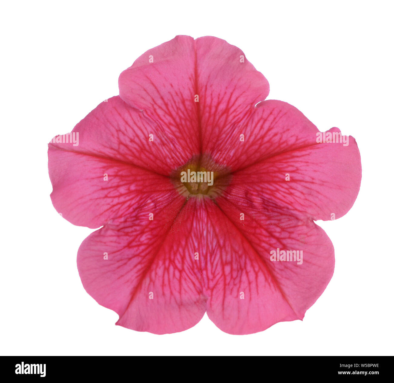 Dar Red High Resolution Stock Photography and Images - Alamy