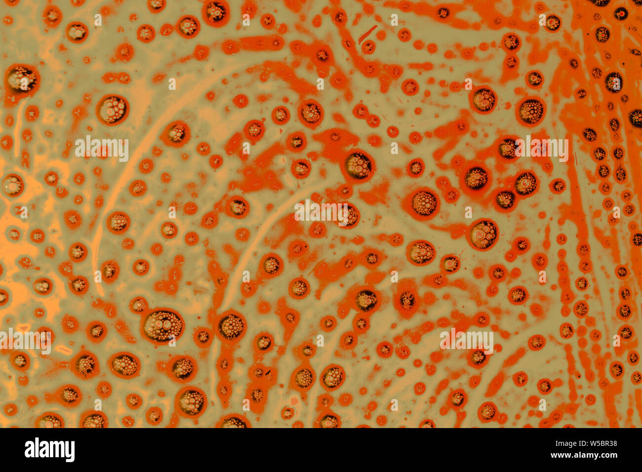 Complex scribble lines knot hi-res stock photography and images - Alamy