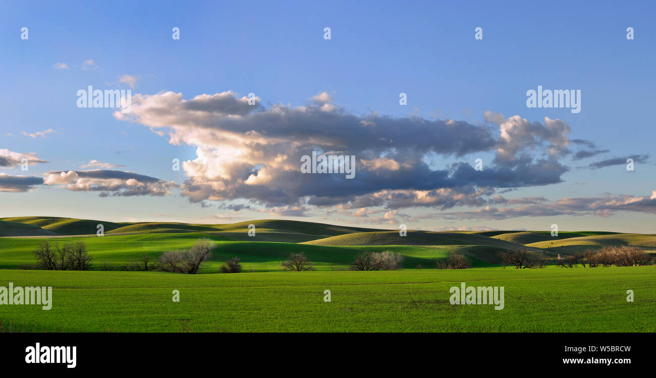 California central valley hills farm hi-res stock photography and ...
