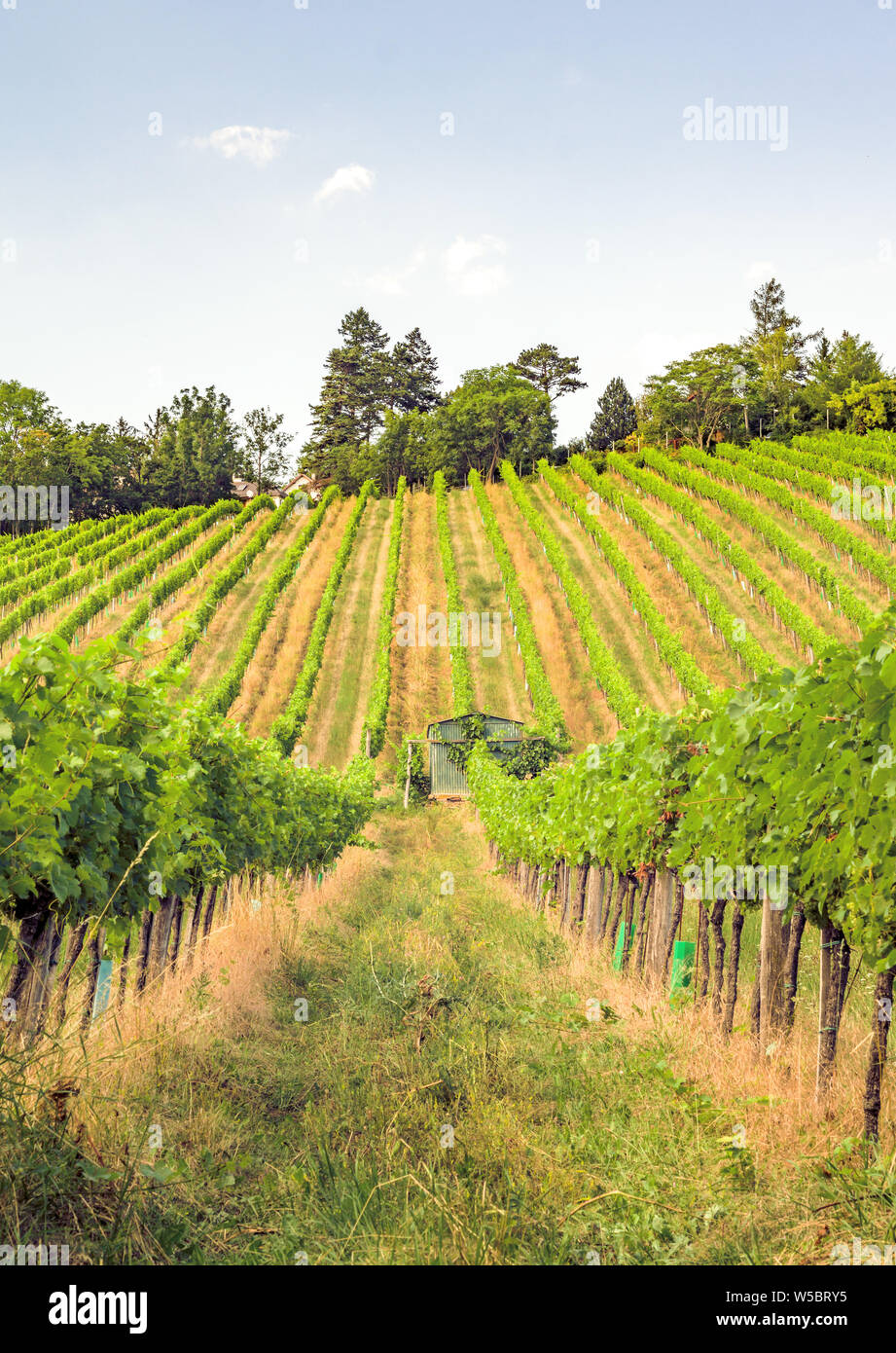 Vienna scenic vertical hi-res stock photography and images - Alamy