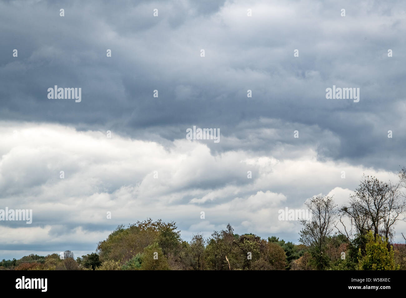 A stormy sky over tree tops in Fallston,MD Stock Photo - Alamy