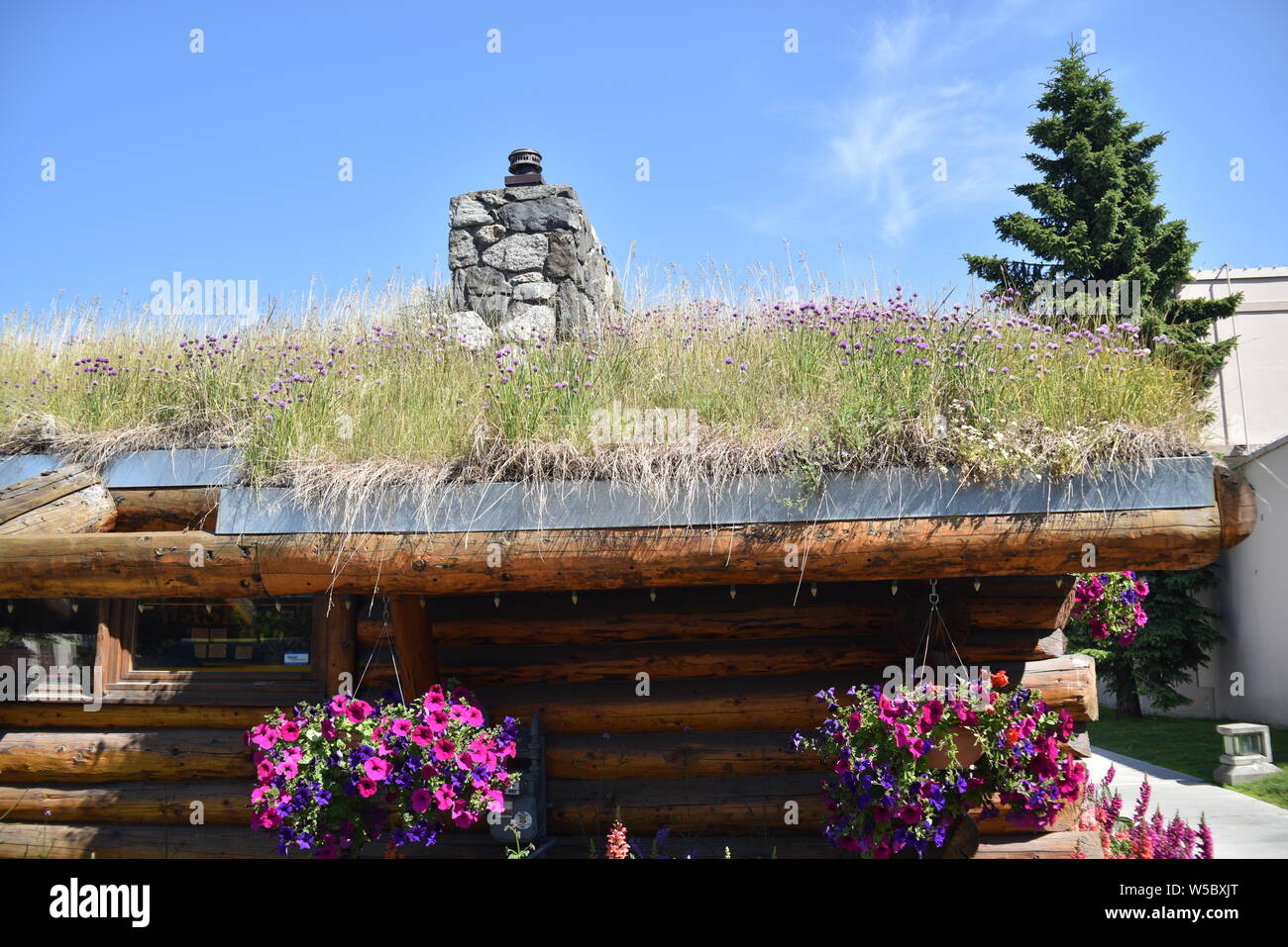 Visit anchorage information center hi-res stock photography and images ...