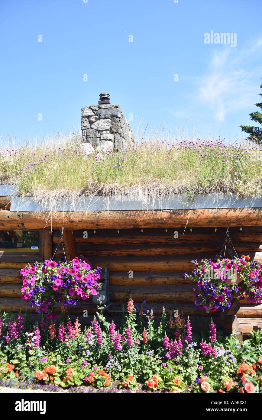 Visit anchorage information center hi-res stock photography and images ...