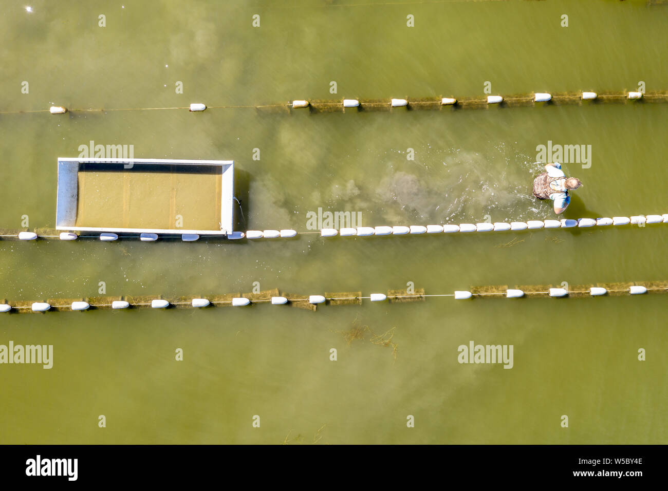 Chesapeake bay oyster farm hi-res stock photography and images - Alamy