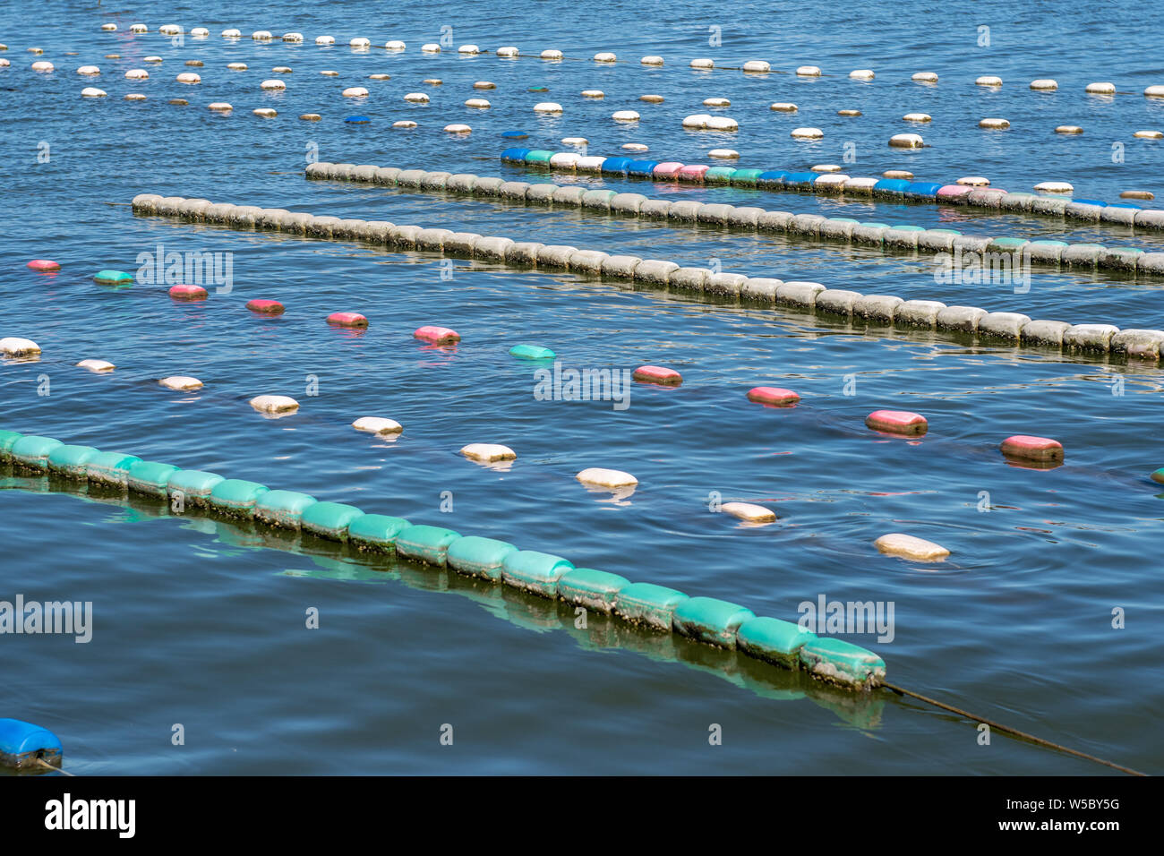 Chesapeake bay oyster farm hi-res stock photography and images - Alamy