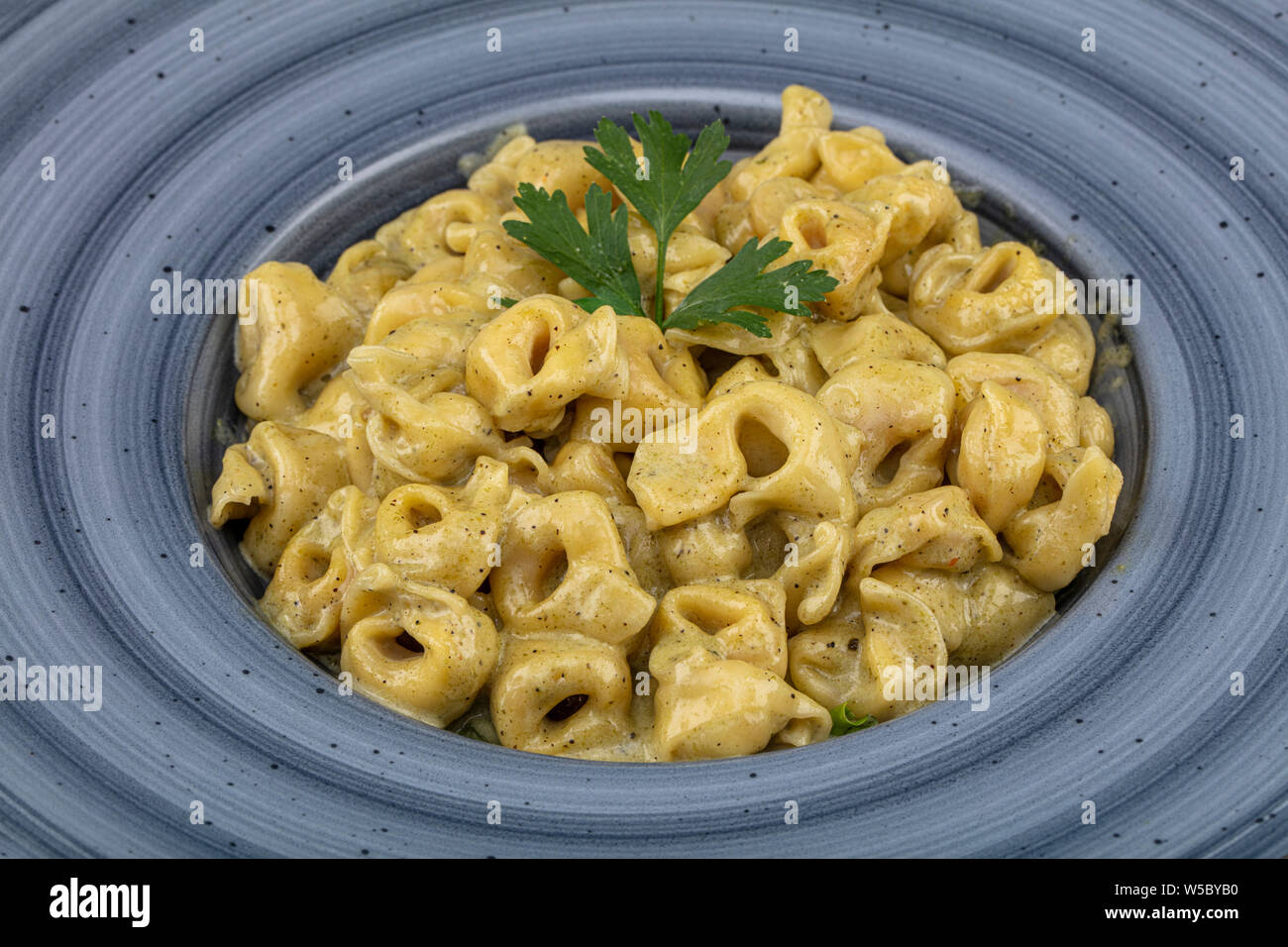 Conchiglie pasta. Italian pasta shells with mushrooms and tomato sauce ...