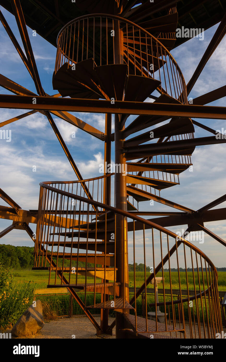 Wetlands observation platform hi-res stock photography and images - Alamy