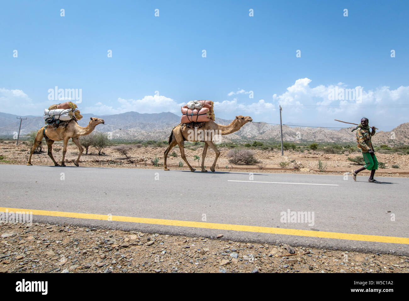 Camels carrying goods hi-res stock photography and images - Alamy