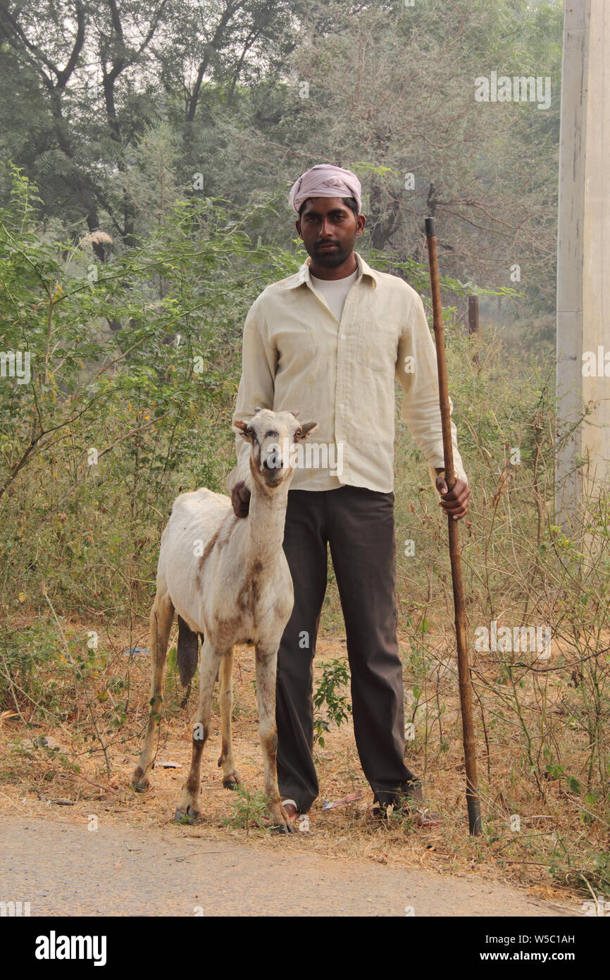 Are Australian Shepherds Good With Goats